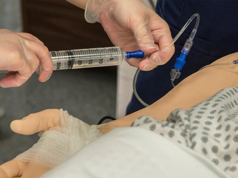 School of Nursing & Health Sciences | Pennsylvania College of Technology